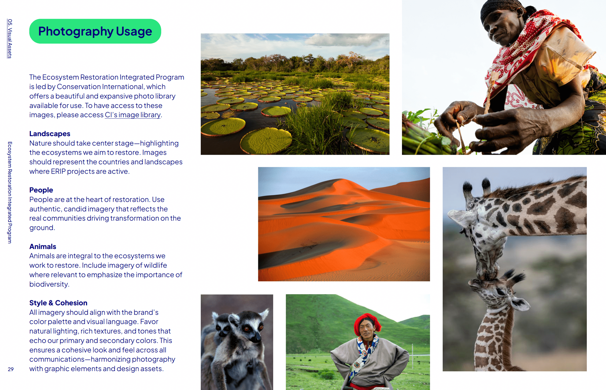 AHOY - our top 20 - Ecosystem Restoration Integrated Program (ERIP)