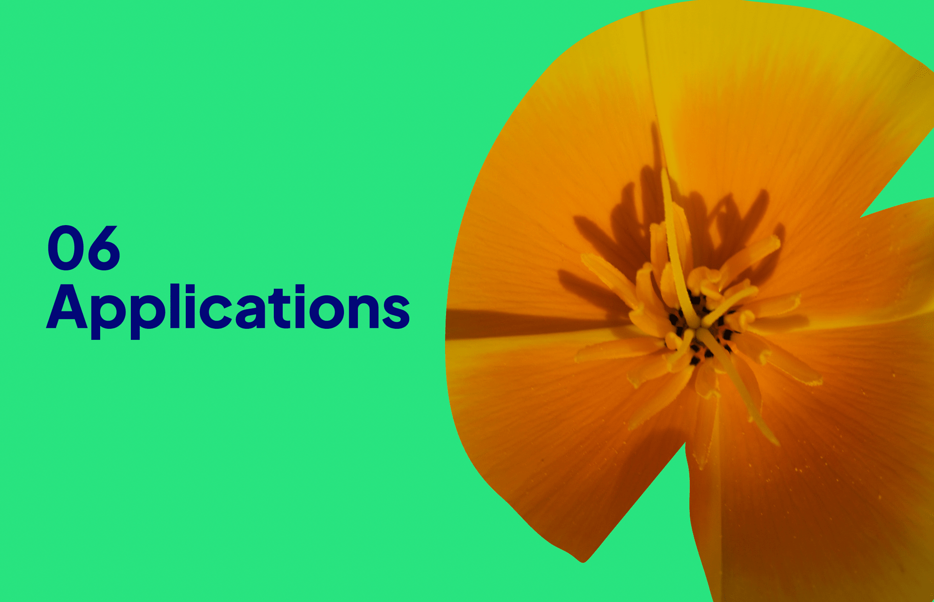 AHOY - our top 20 - Ecosystem Restoration Integrated Program (ERIP)
