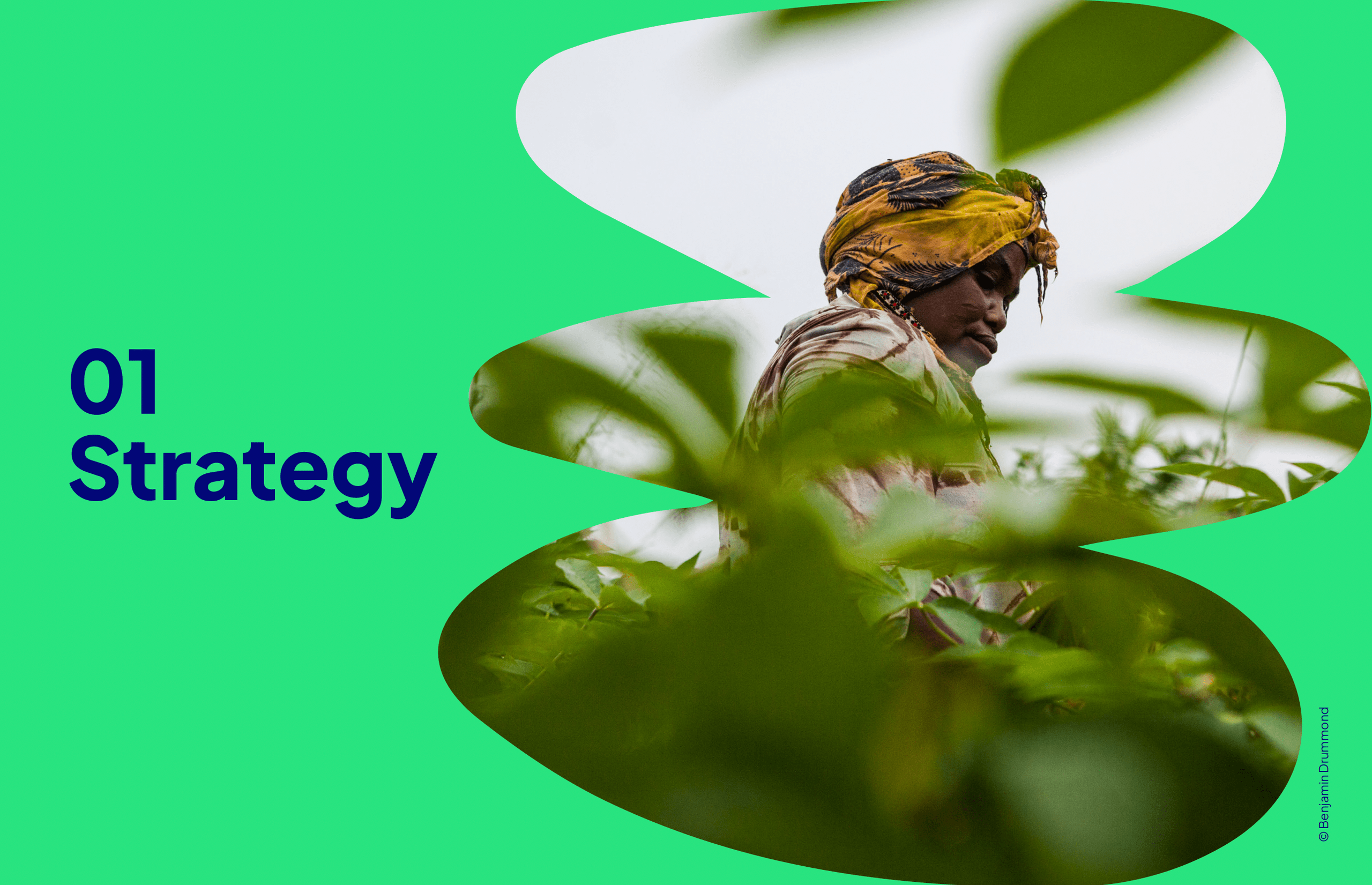 AHOY - our top 20 - Ecosystem Restoration Integrated Program (ERIP)