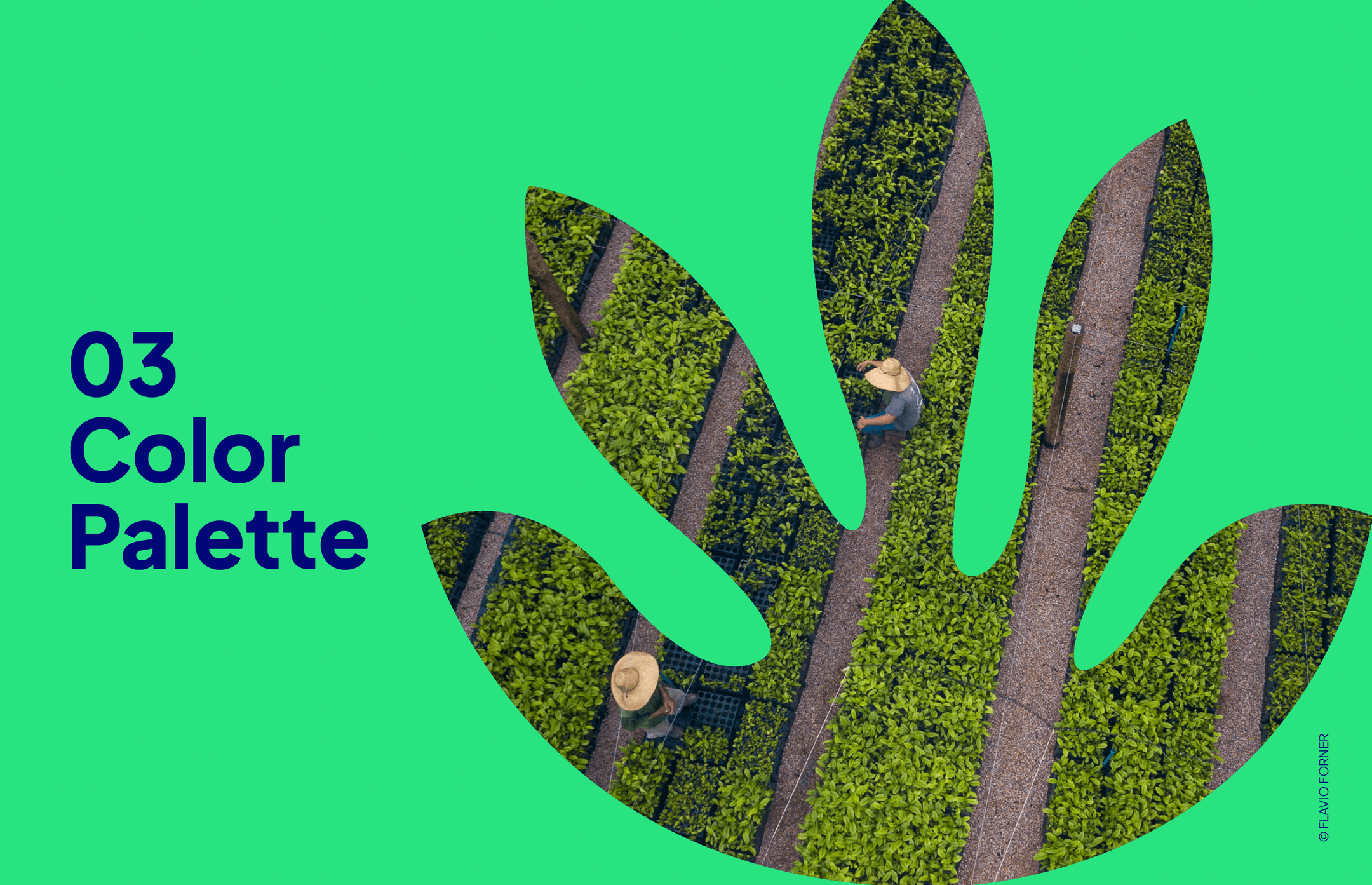 AHOY - our top 20 - Ecosystem Restoration Integrated Program (ERIP)