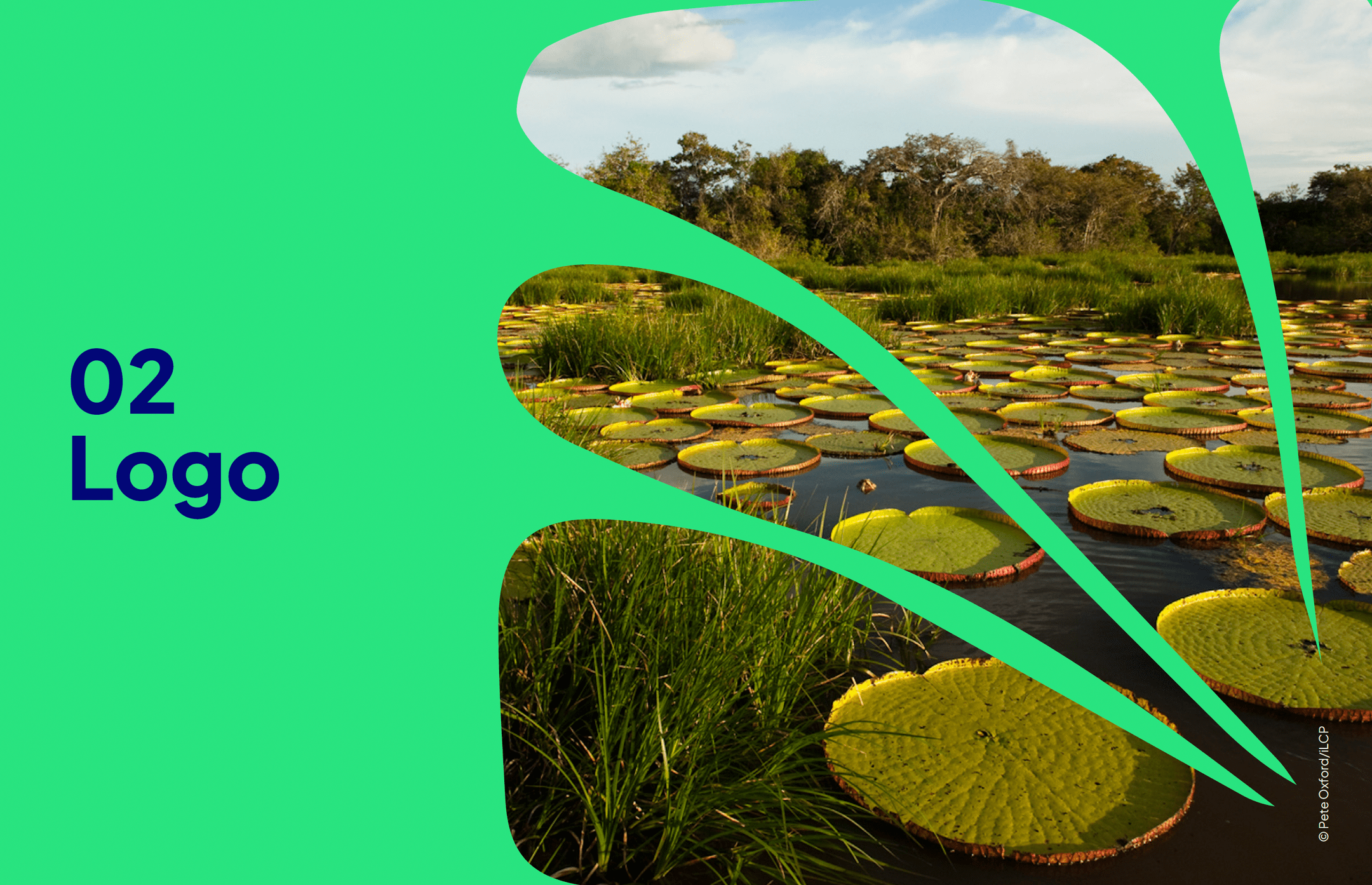 AHOY - our top 20 - Ecosystem Restoration Integrated Program (ERIP)